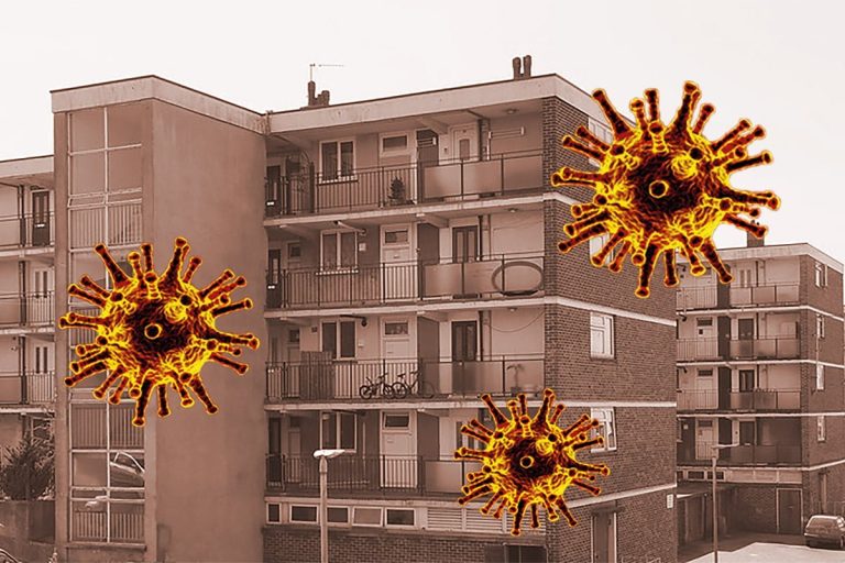 COVID deaths expose stark class divide | The Communist